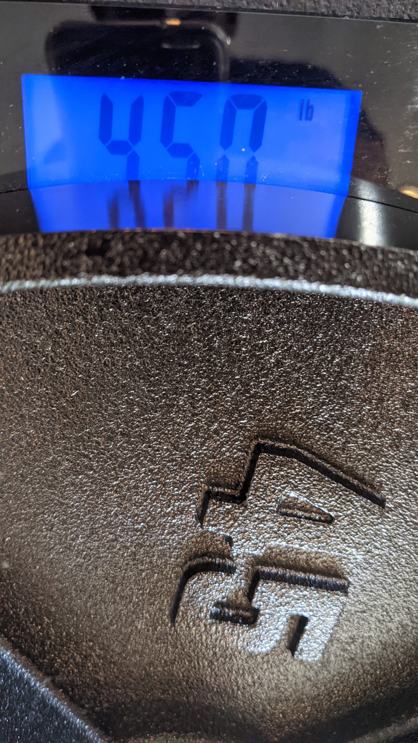 Rogue Deep Dish Plates Review – Garage Gym Experiment