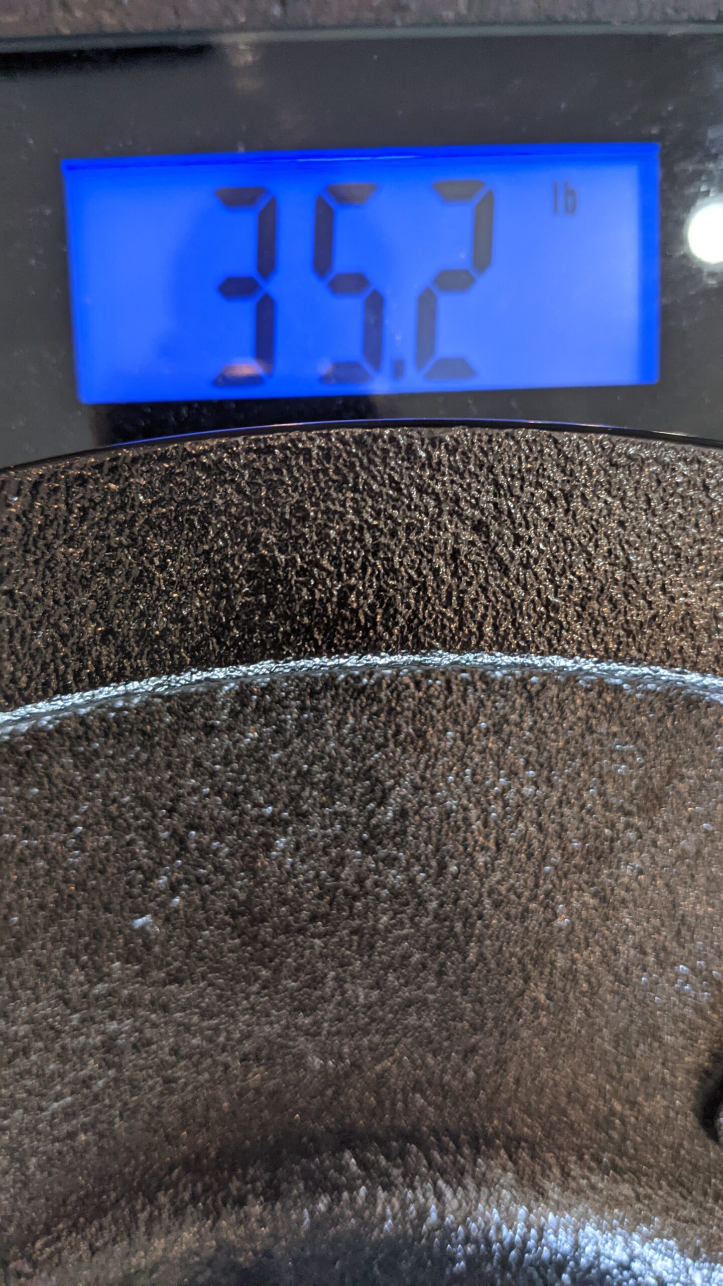 Rogue Deep Dish Plates Review – Garage Gym Experiment