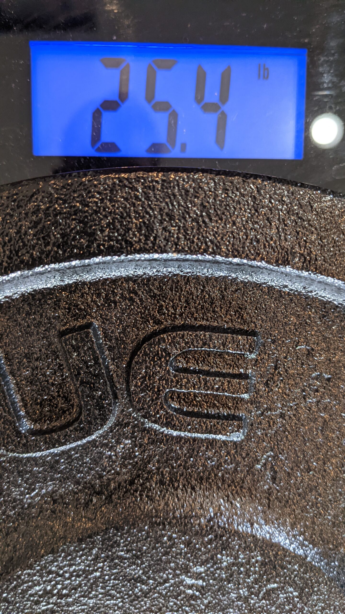 Rogue Deep Dish Plates Review – Garage Gym Experiment