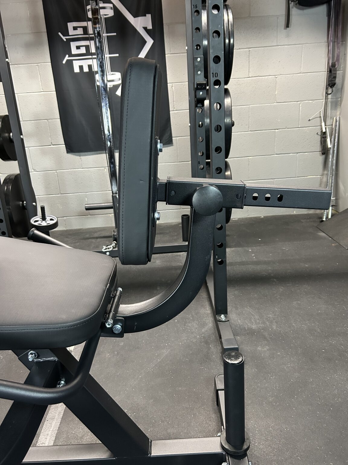 Titan Leg Extension and Curl Machine Review – Garage Gym Experiment