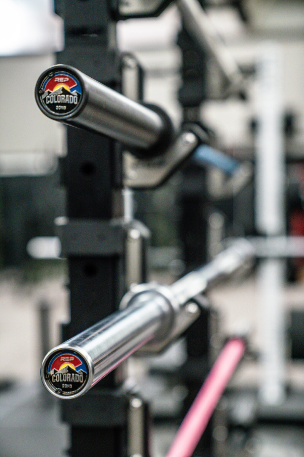 Titan or REP for Your Home Gym? – Garage Gym Experiment